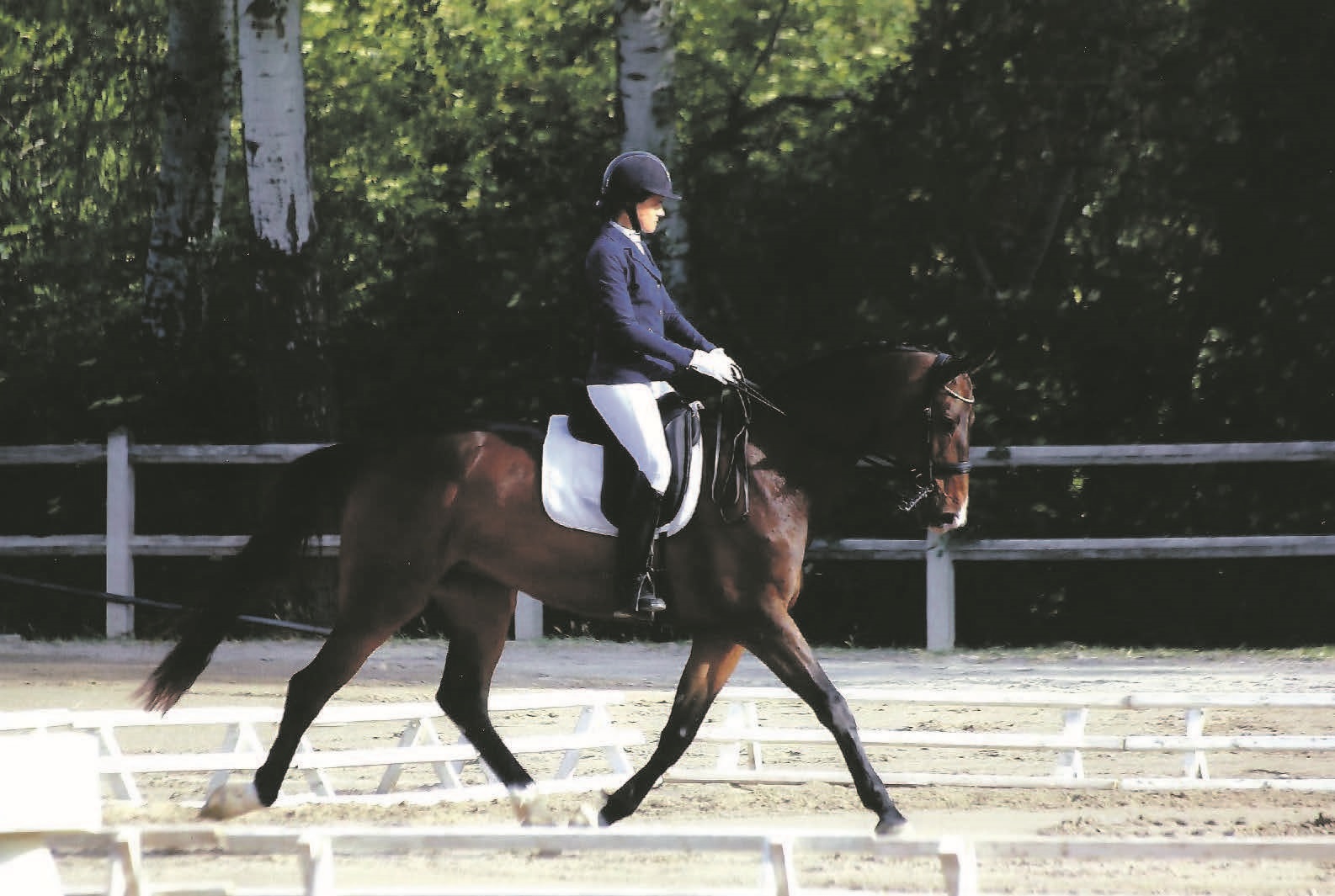 Cheval ou poney, sport de haut niveau ou équitation loisir – Journal ...